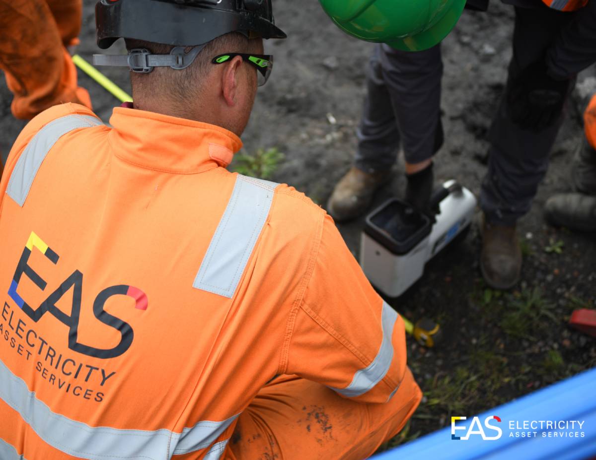 Our Services - Electricity Asset Services